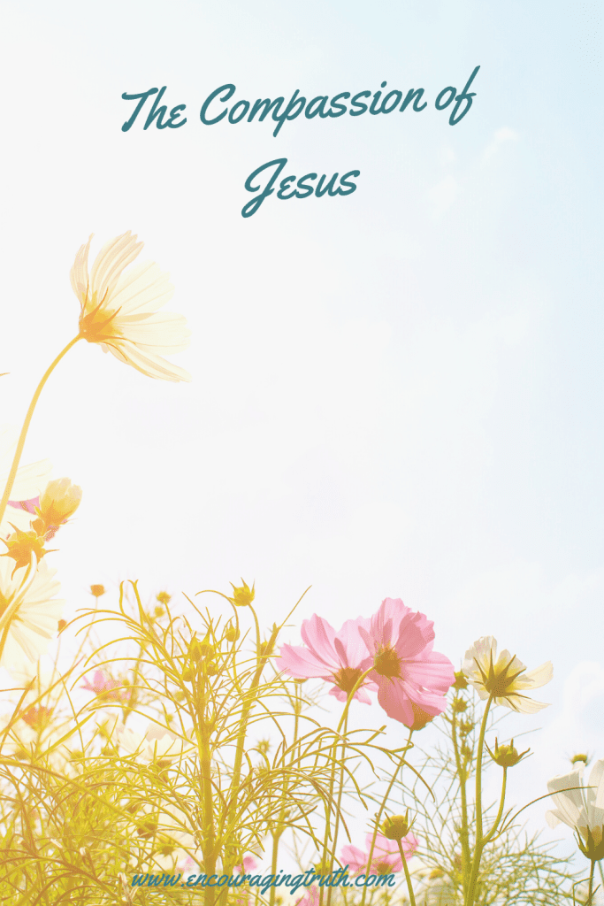 Compassion of Jesus