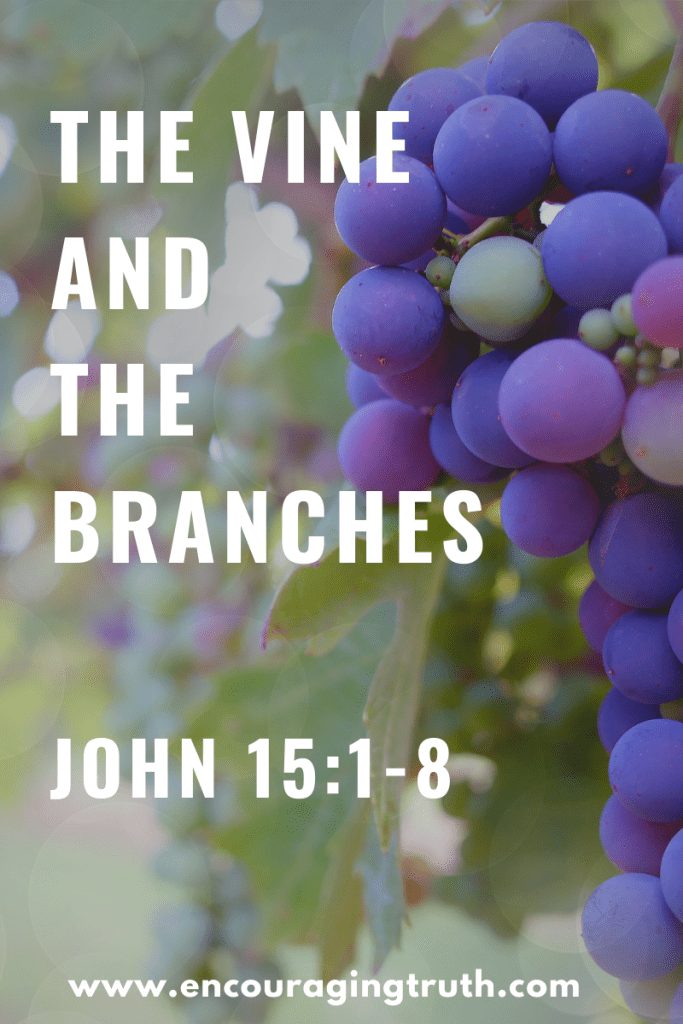 God’s Pruning of the Branch